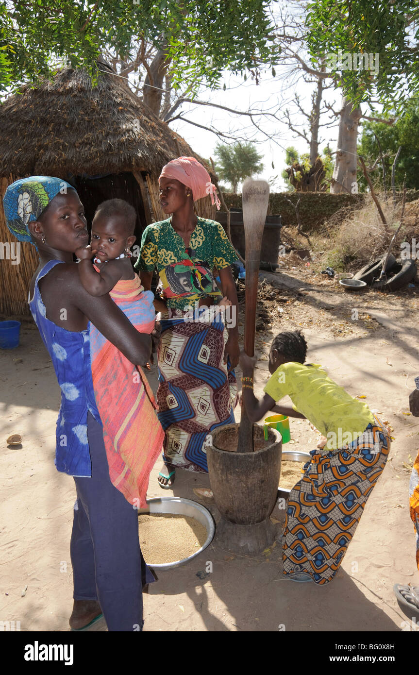 Pounding millet, Serer (Serere) Tribal Village, Senegal, West Africa ...