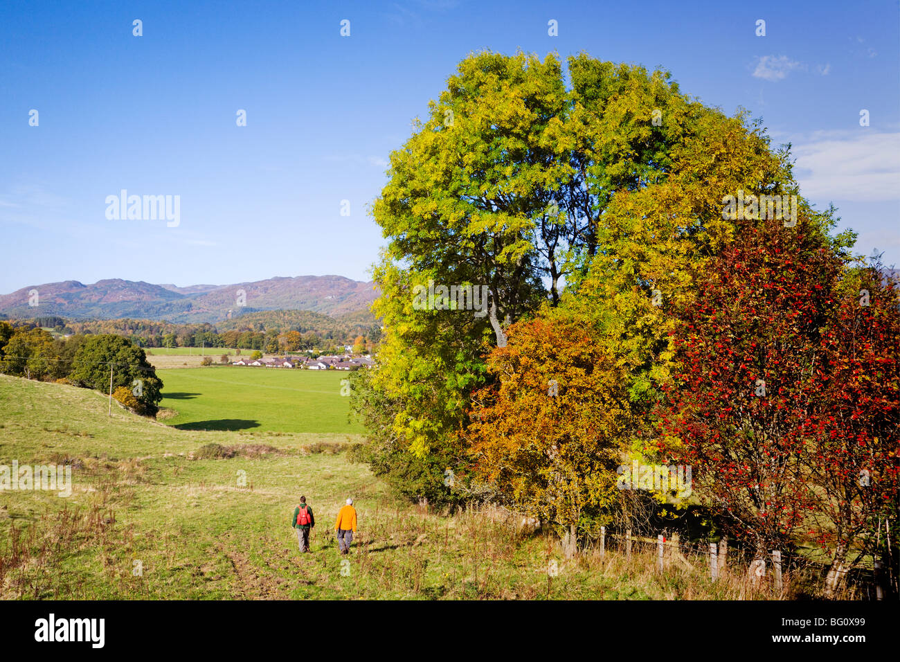 Braes hi-res stock photography and images - Alamy