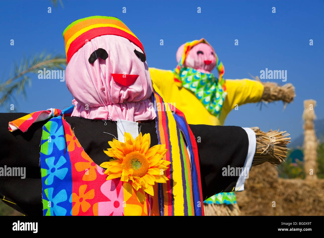Sunflower scarecrow hi-res stock photography and images - Alamy