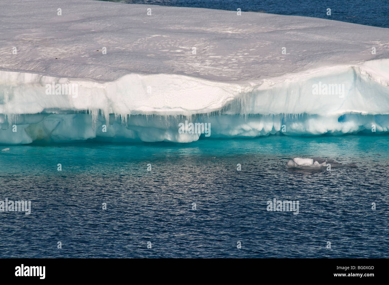 Ice in the Antarctic Sound, The Antarctic Peninsula, Antarctica, Polar ...