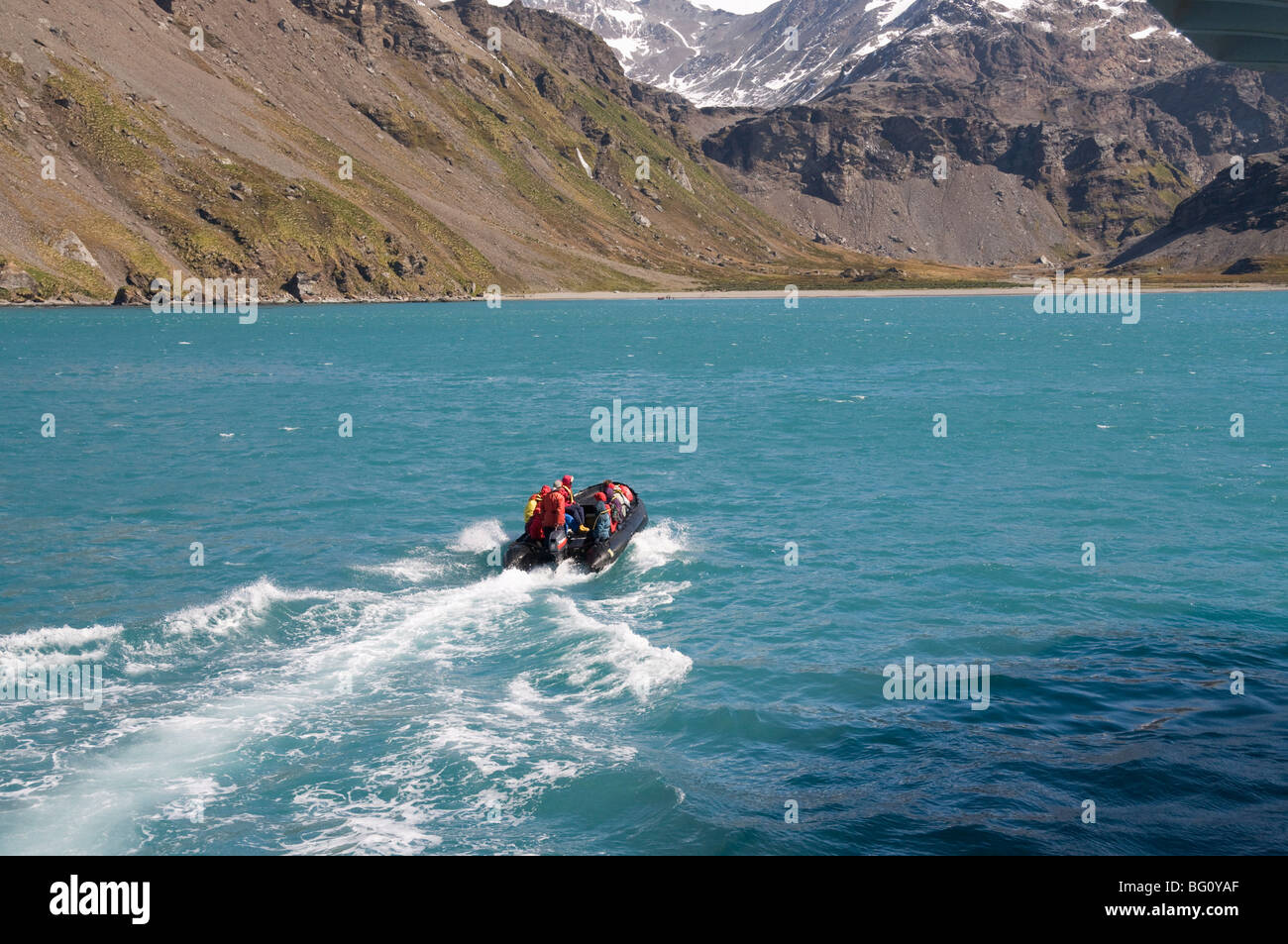Moltke Harbour, Royal Bay, South Georgia, South Atlantic Stock Photo ...