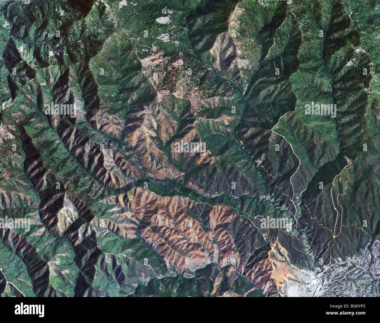 aerial view above logging roads Shasta county California forest Stock ...