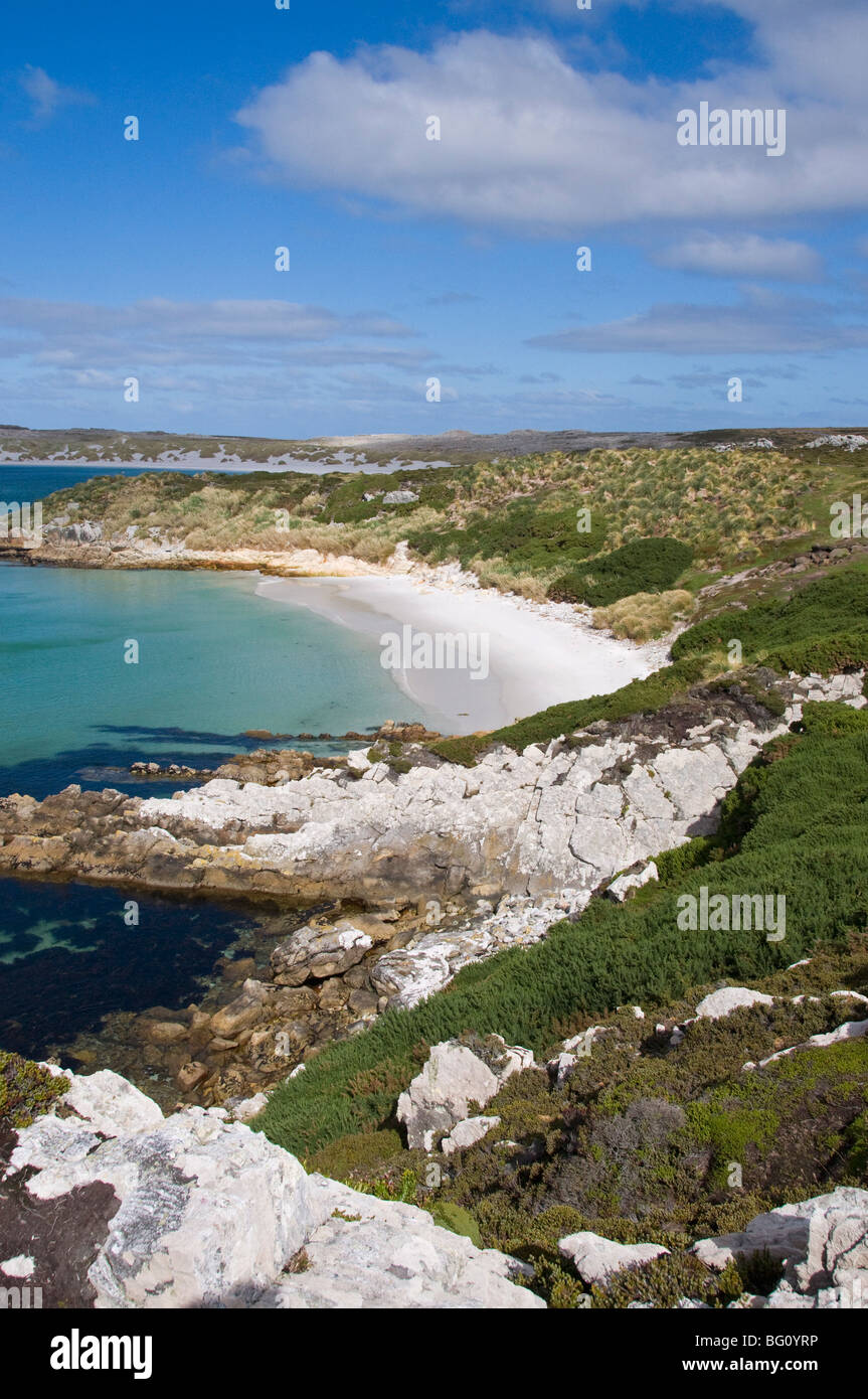 Gypsy hi-res stock photography and images - Alamy