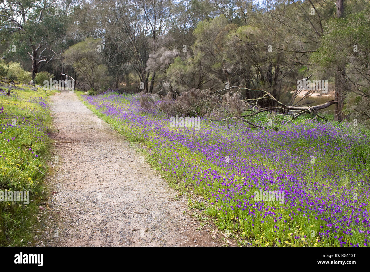 Walyunga national park hi-res stock photography and images - Alamy