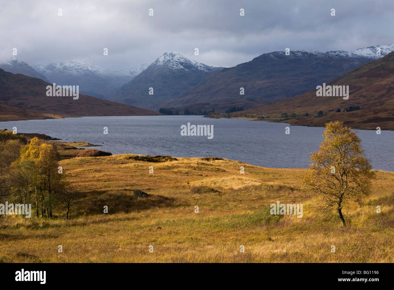 Loch Arklet in autumn, Trossachs, Stirlingshire, Scotland, United ...