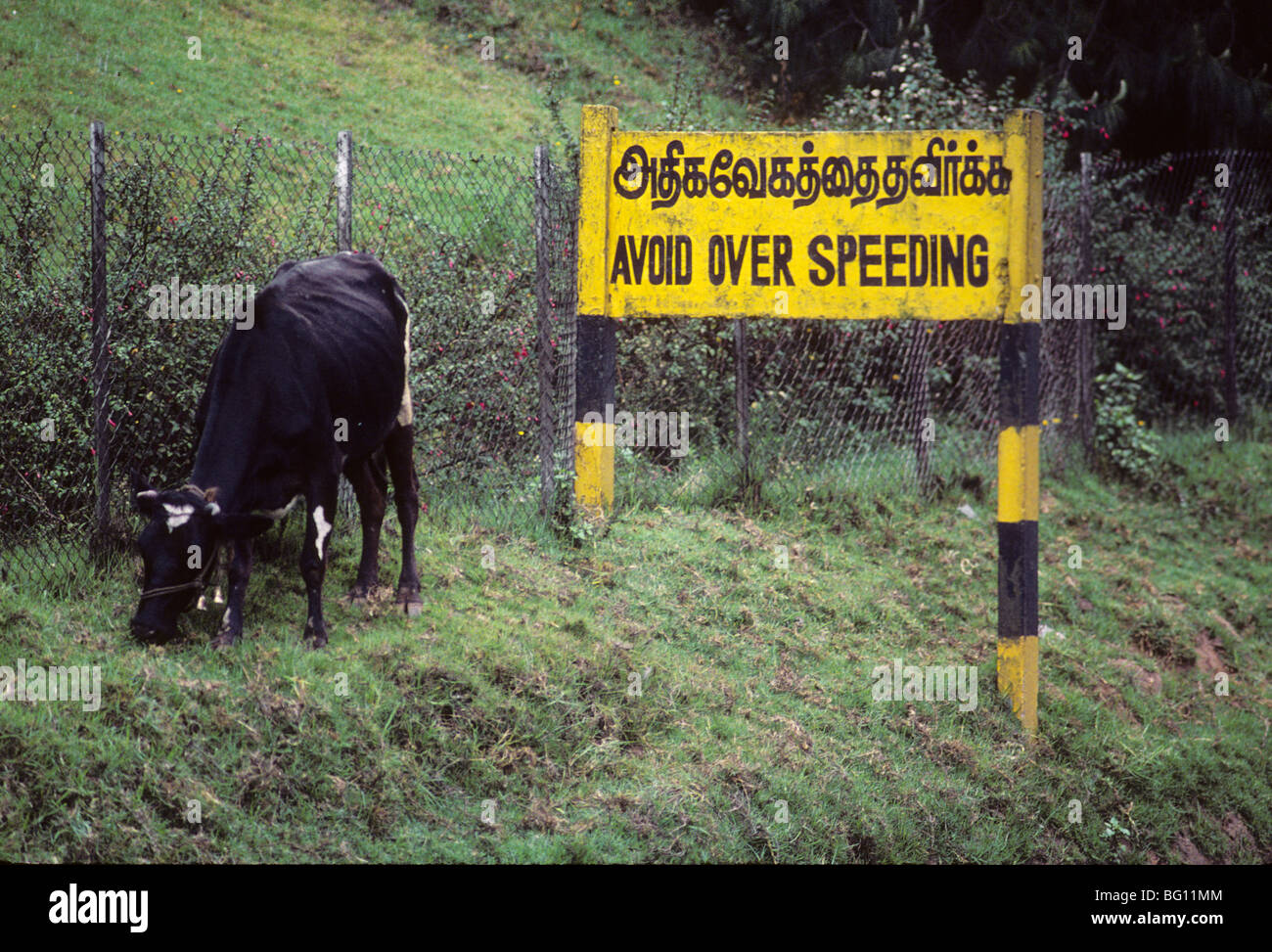 An anti speeding sign in Ooty, India Stock Photo - Alamy