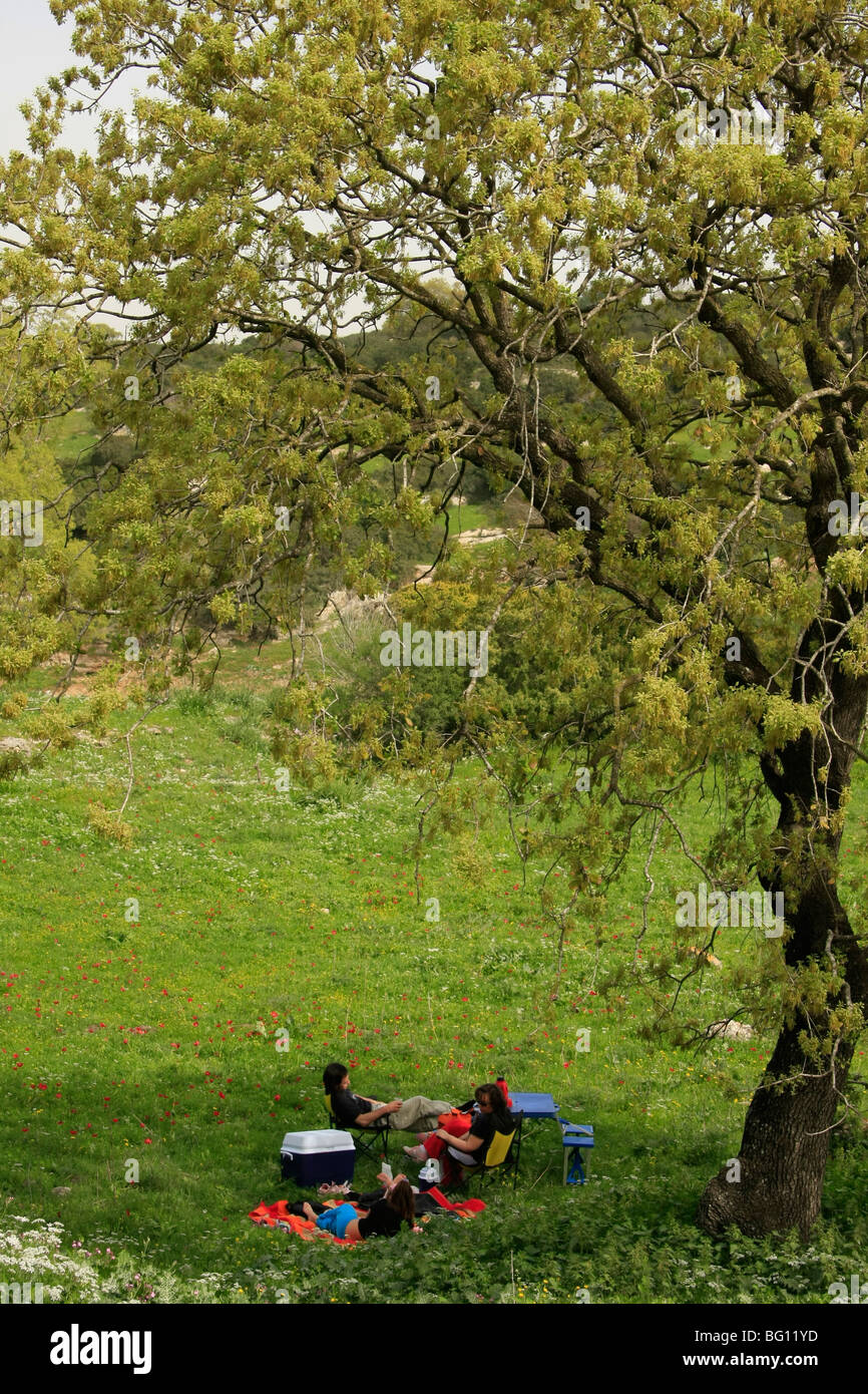 Shimron hi-res stock photography and images - Alamy