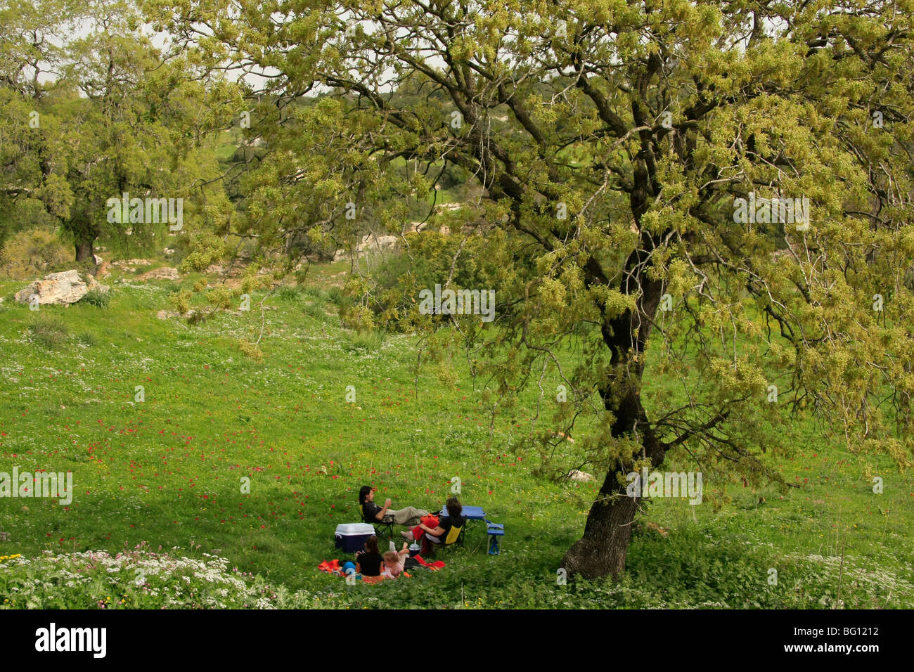 Shimron hi-res stock photography and images - Alamy