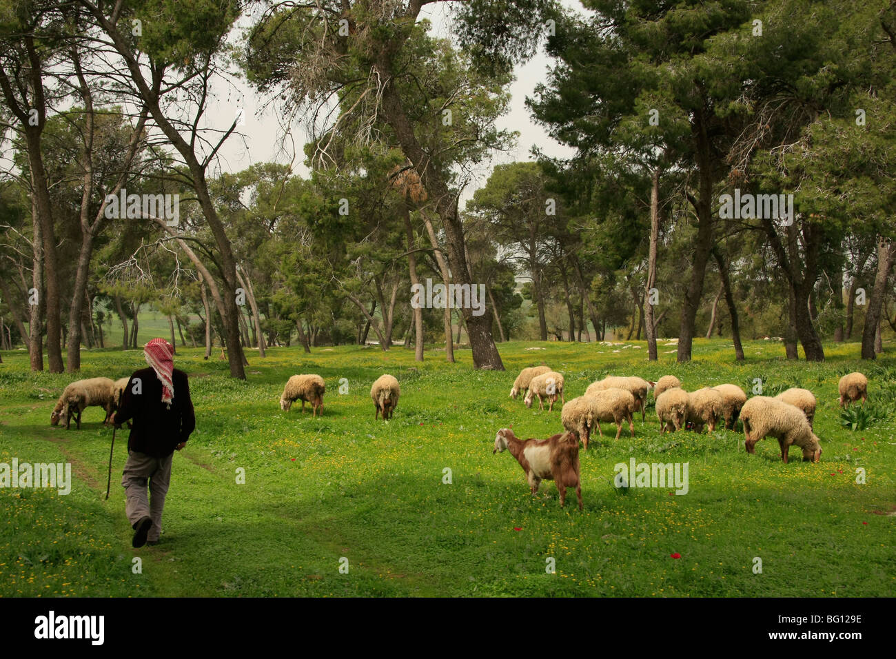 Tel shimron hi-res stock photography and images - Alamy