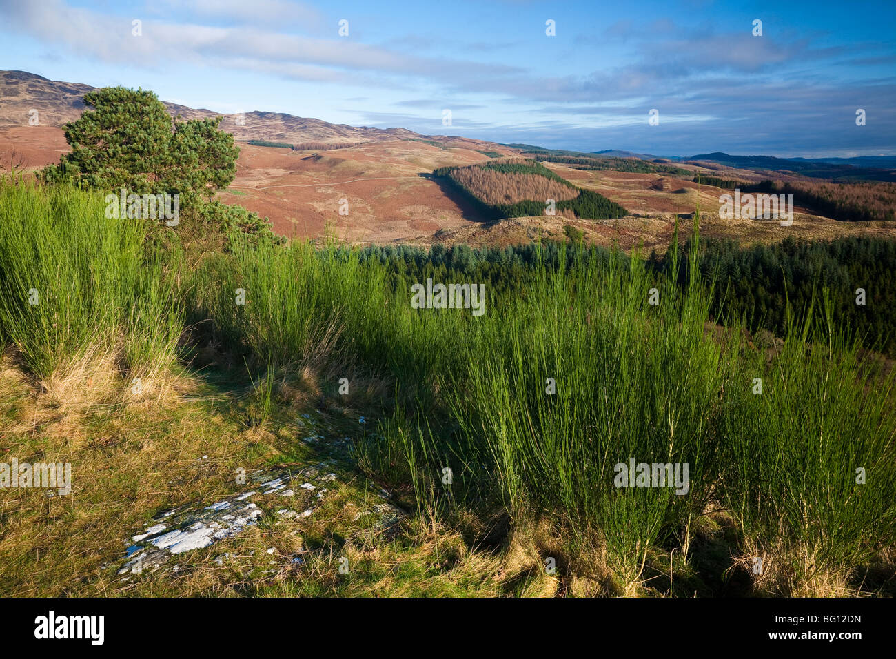 Landscape near Comrie, Scotland Stock Photo - Alamy