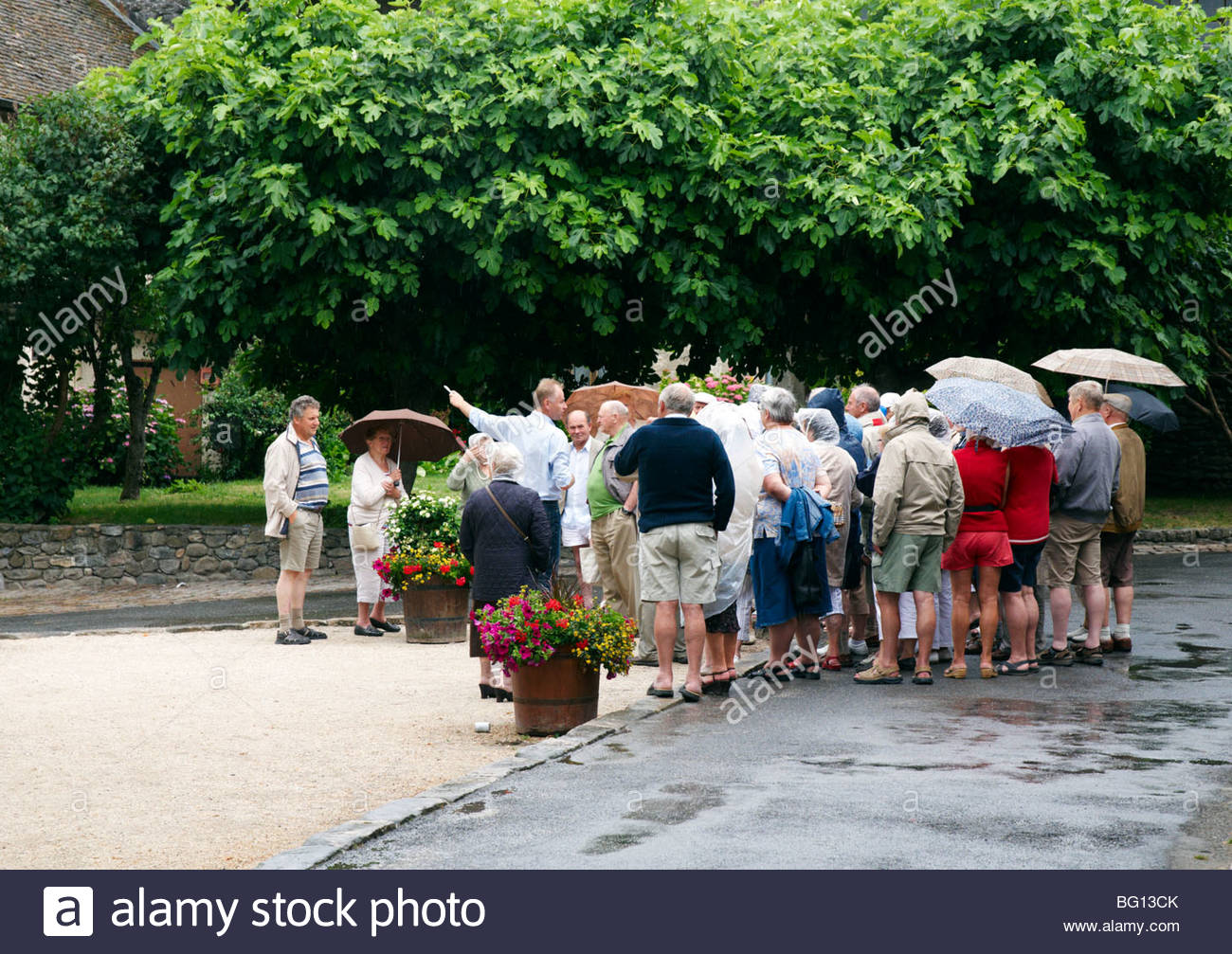 Tour Guide Group High Resolution Stock Photography and Images - Alamy