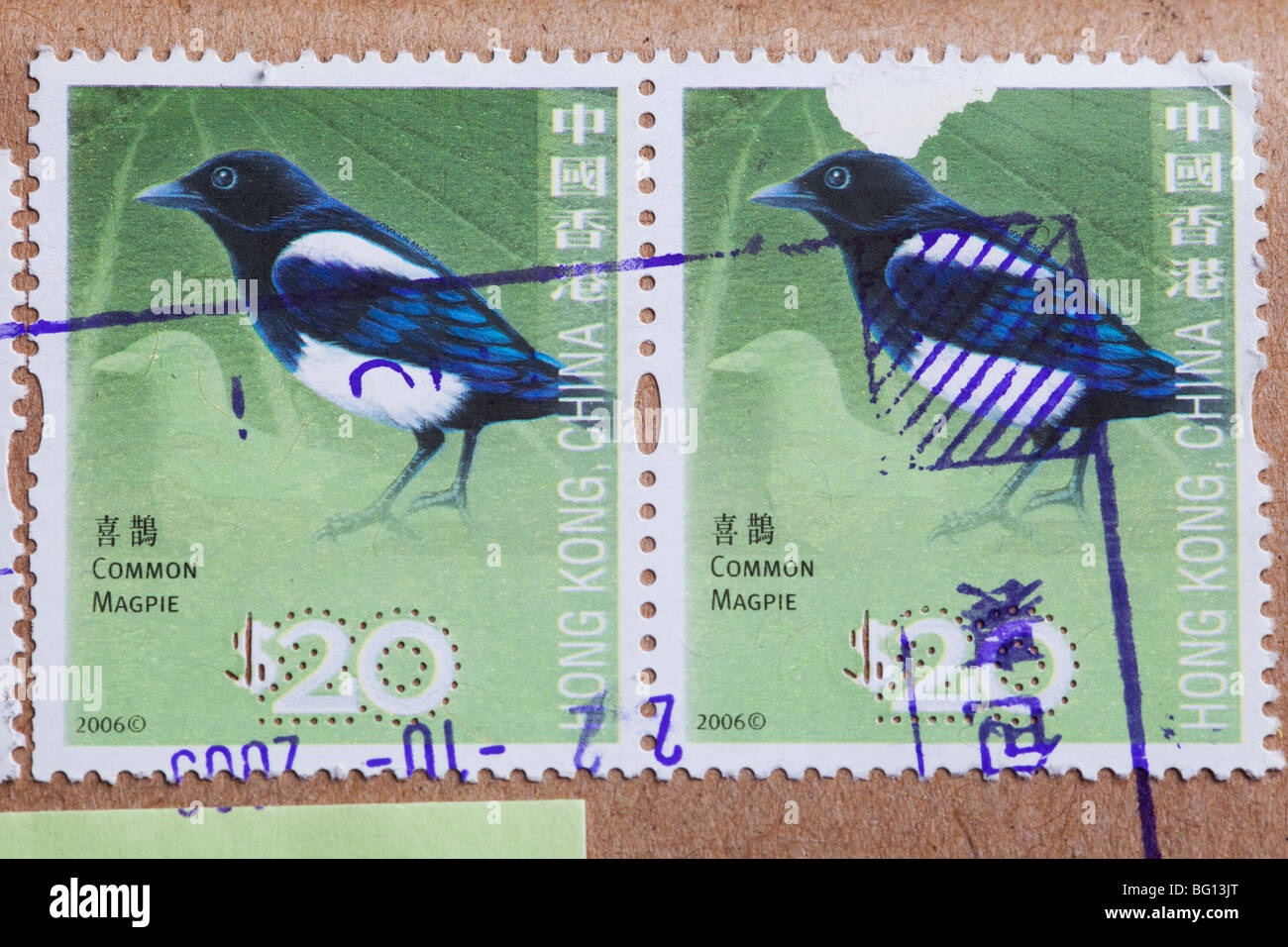 Chinese stamps with common magpie birds Stock Photo - Alamy
