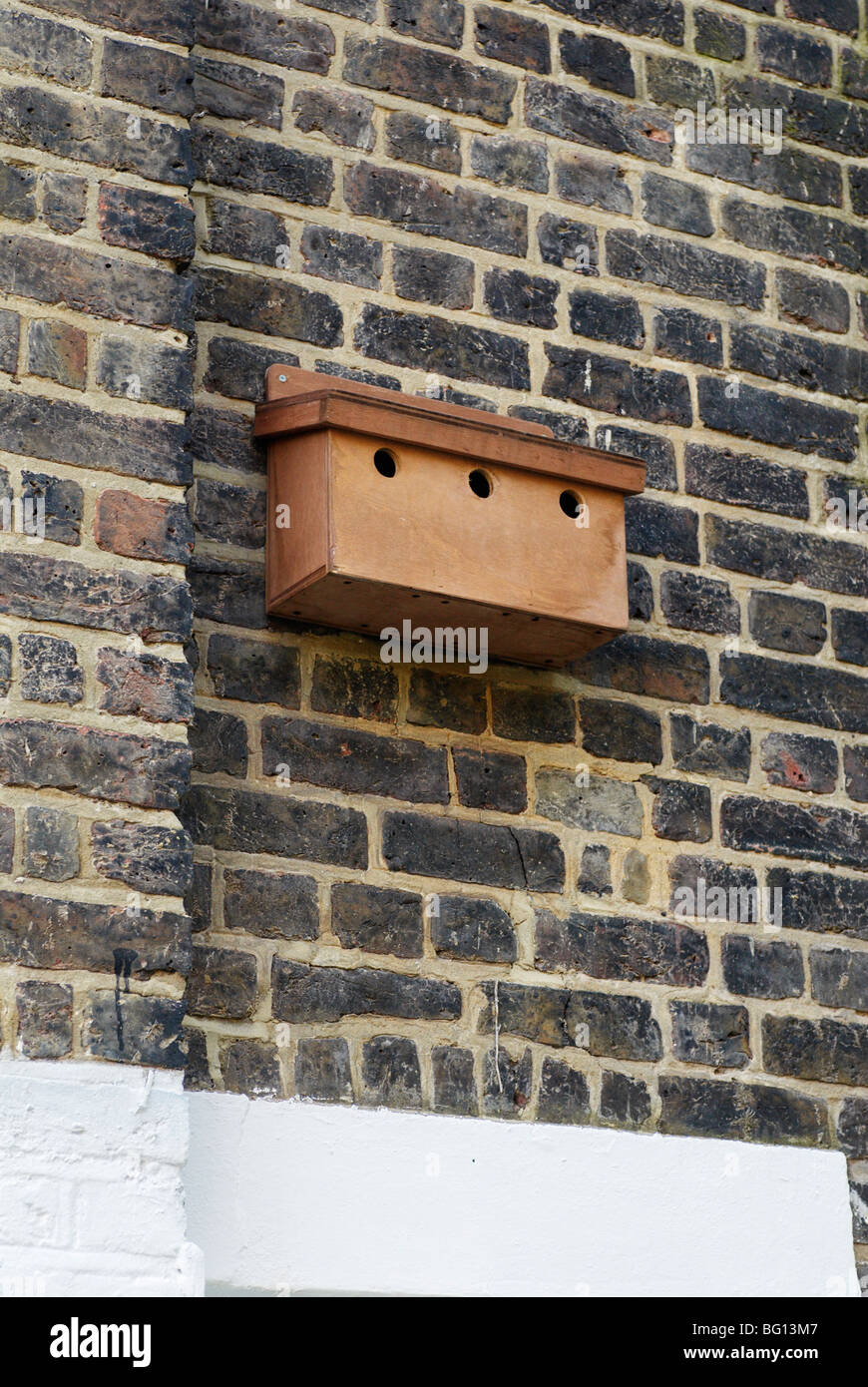 Bird box on exterior wall of Victorian house Stock Photo - Alamy