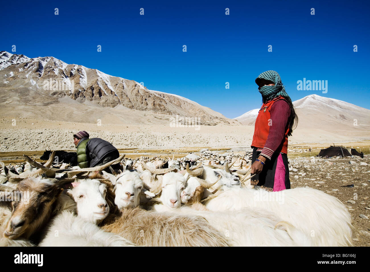 Nomadic herders hi-res stock photography and images - Alamy