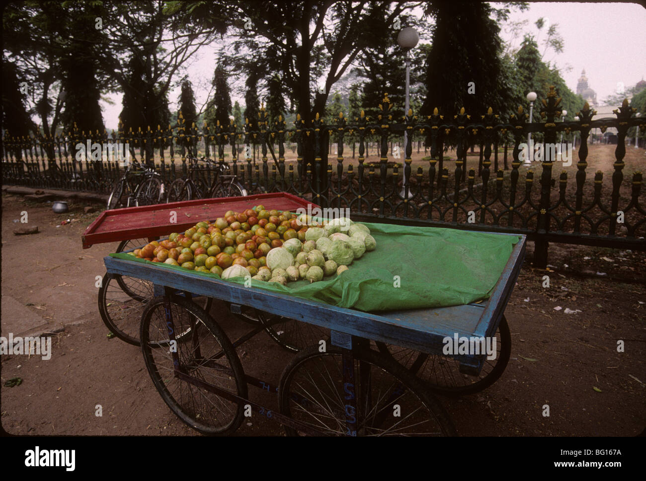 Vegtable carts that are pushed by vendors in Mysore, India Stock Photo ...