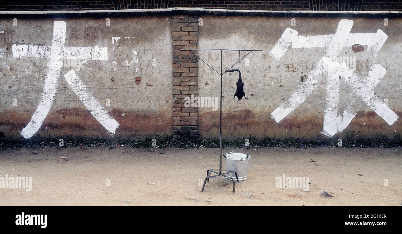 A single goose hangs in Menghai, Yunnan Province, China Stock Photo - Alamy