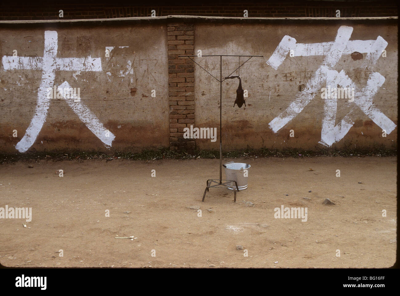 A single goose hangs in Menghai, Yunnan Province, China Stock Photo - Alamy