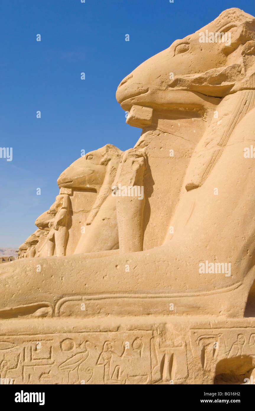 Row of sphinx with ram heads at the great Temple at Karnak, near Luxor ...