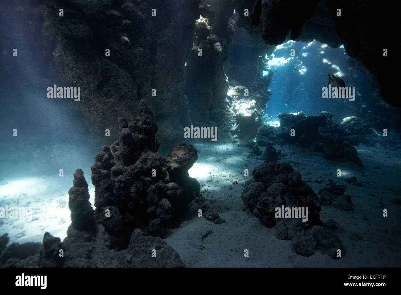 Underwater cave hi-res stock photography and images - Alamy