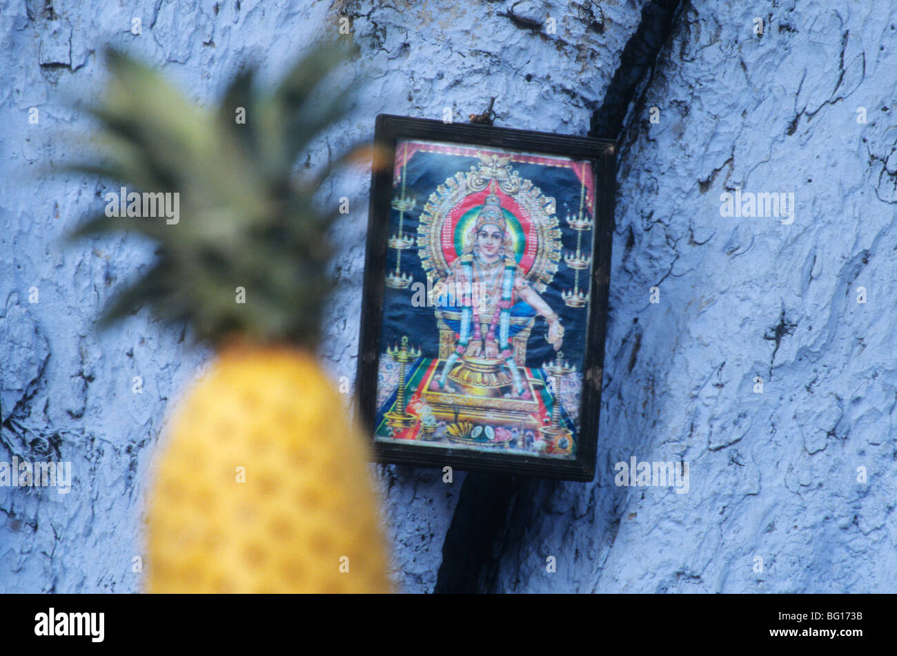 A fresh, whole pineapple and a small framed image of Lord Ayyappa are ...