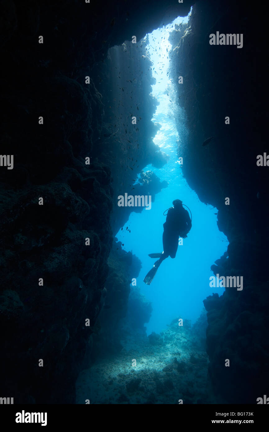 Male diver full body wet suit hi-res stock photography and images - Alamy