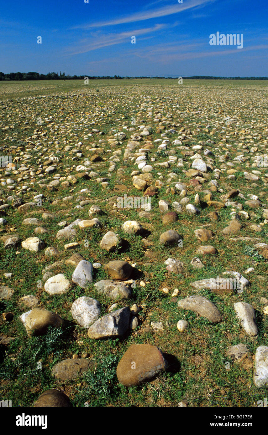 The Crau Stony Steppe Steppeland or Plain was the former now dried ...