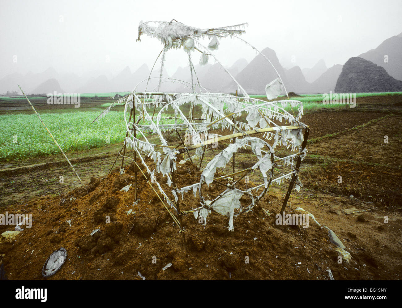A bird sits atop a wood frame that makes up the grave marker of a ...