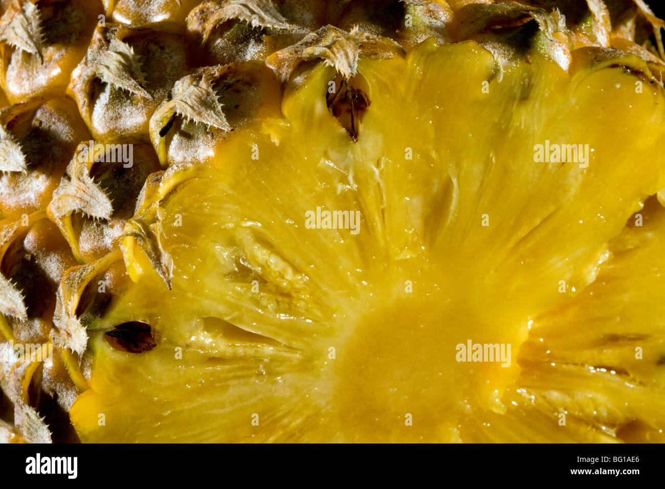 Cross section of pineapple Stock Photo - Alamy