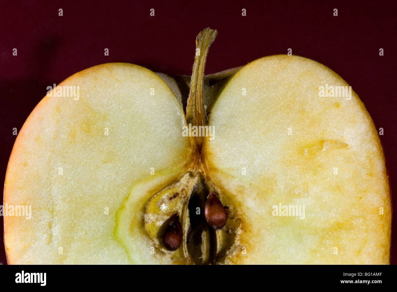 Cross section of apple Stock Photo - Alamy
