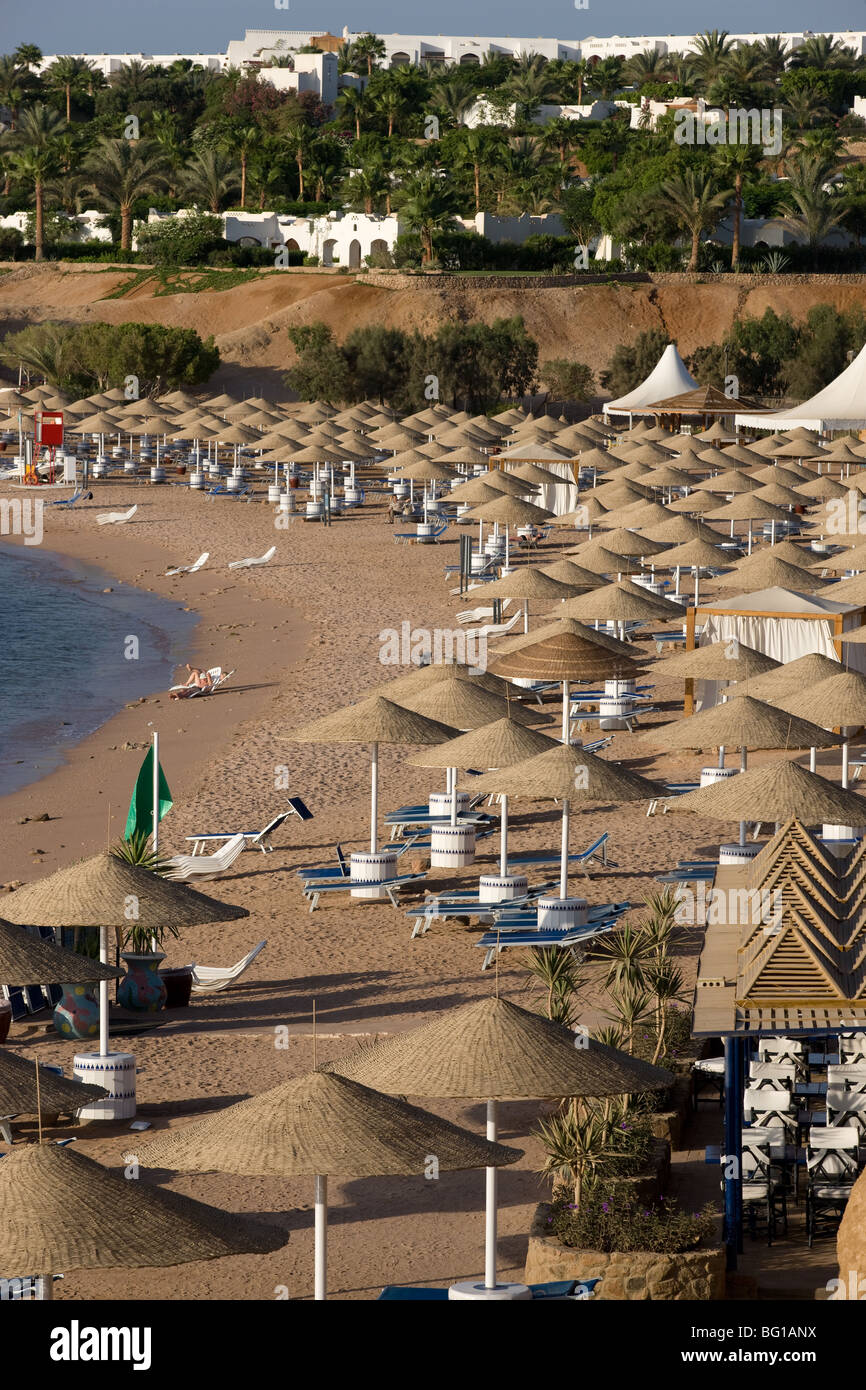 Africa, Egypt, Sharm el Sheik, beach, sea, umbrellas, coast, Domina ...