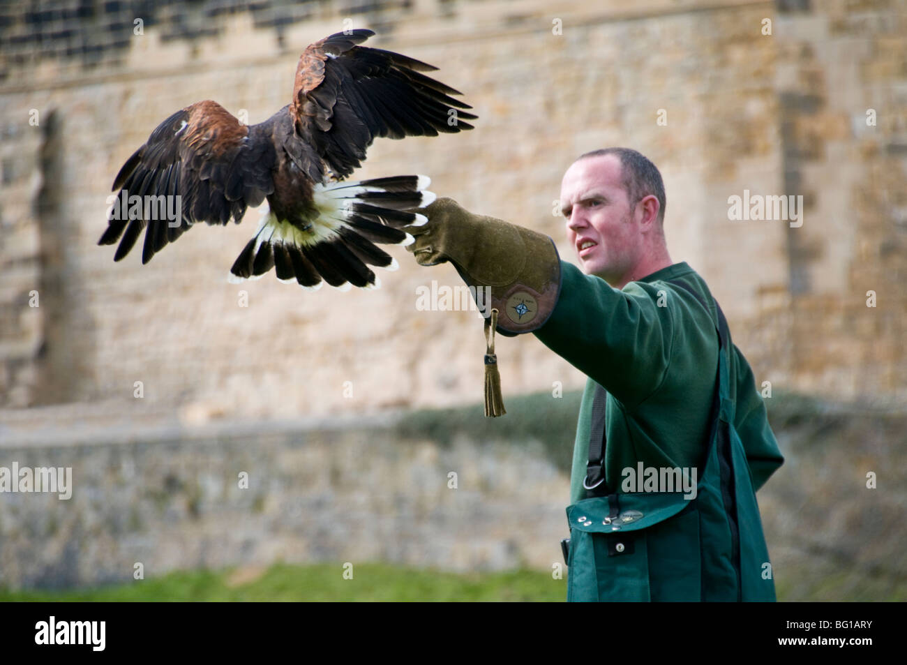 Medieval falconry hi-res stock photography and images - Alamy
