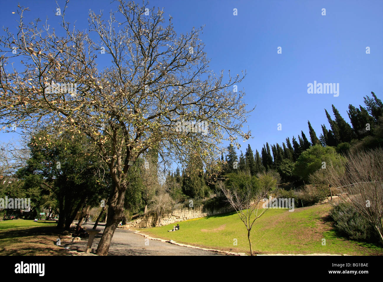 Israel, Alonim Hills. Beth She'arim, archeological site of a Jewish ...