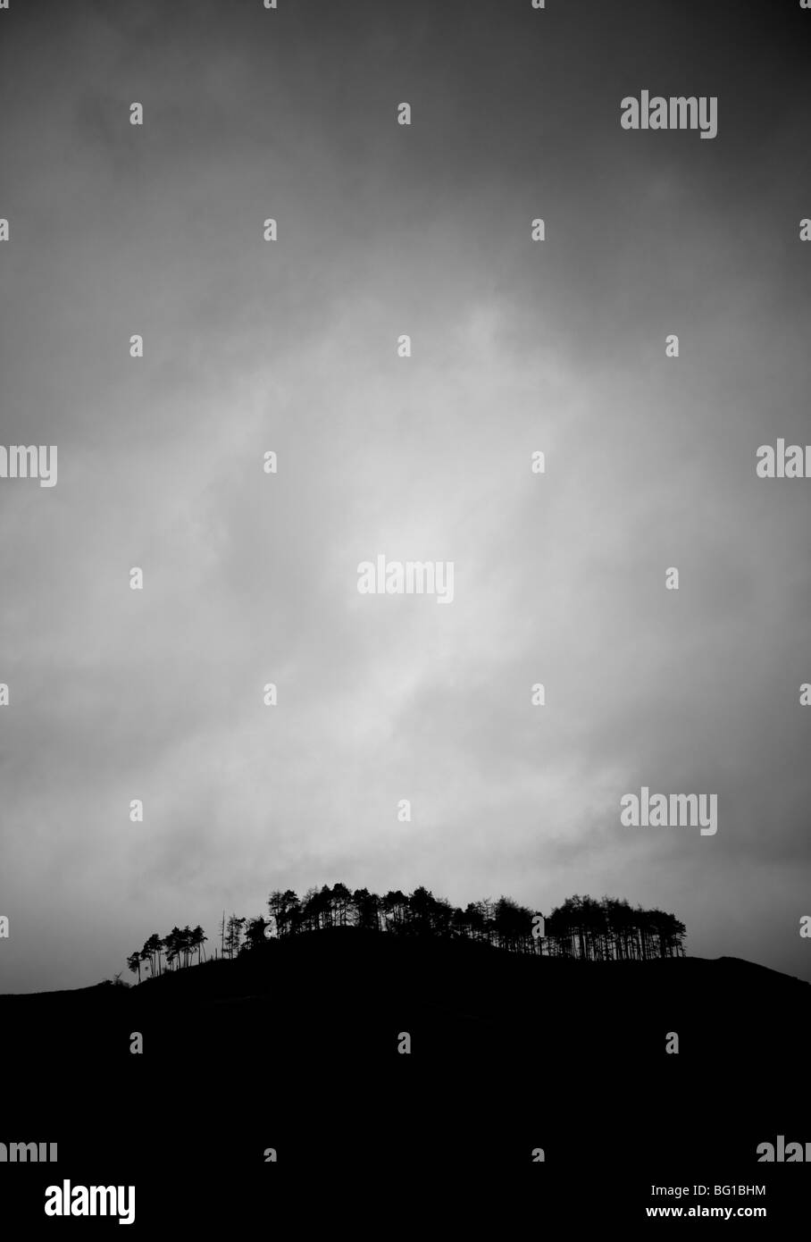 Pass the tree hi-res stock photography and images - Alamy