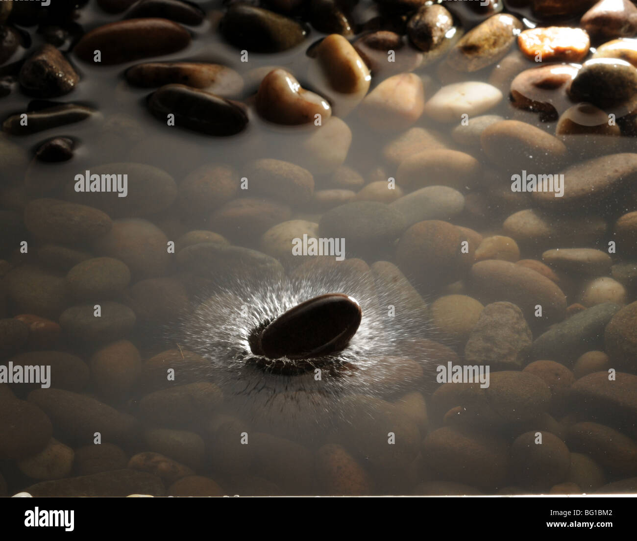 Pebble Water Ripples Stock Photos & Pebble Water Ripples Stock Images ...