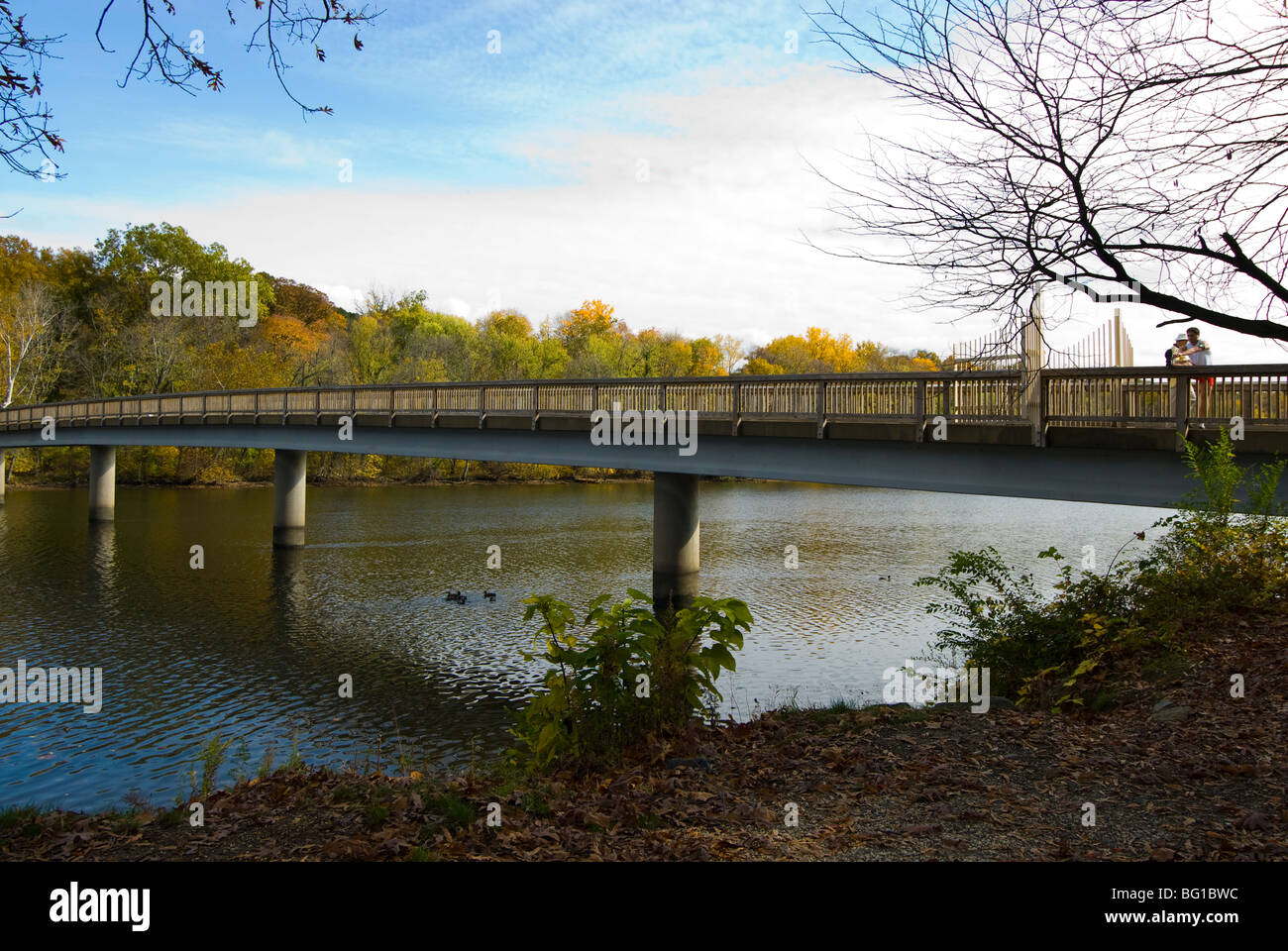 Theodore roosevelt bridge hi-res stock photography and images - Alamy