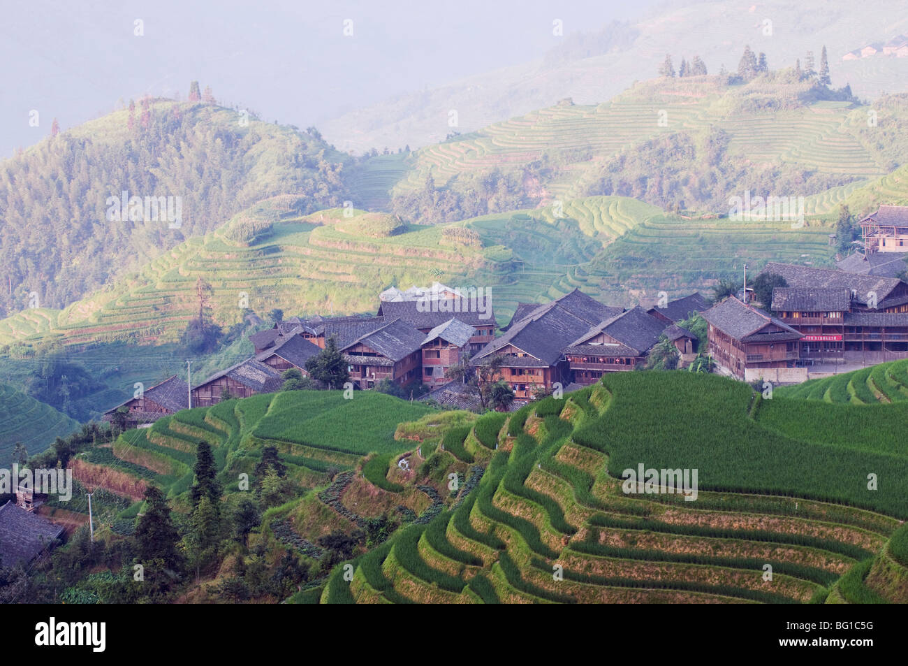 Dragons Backbone rice terraces, Longsheng, Guangxi Province, China ...