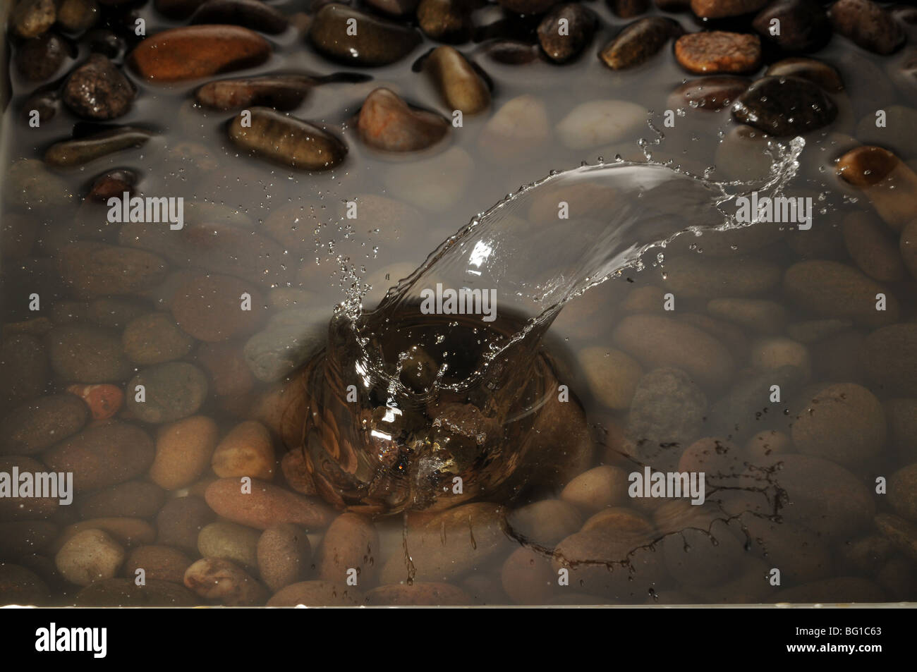 A pebble dropping into a shallow stony pool Stock Photo - Alamy