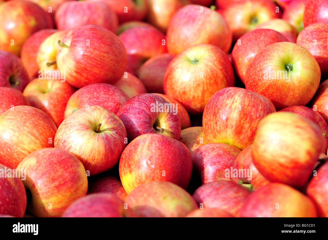 Manzanas a manzanas hi-res stock photography and images - Alamy
