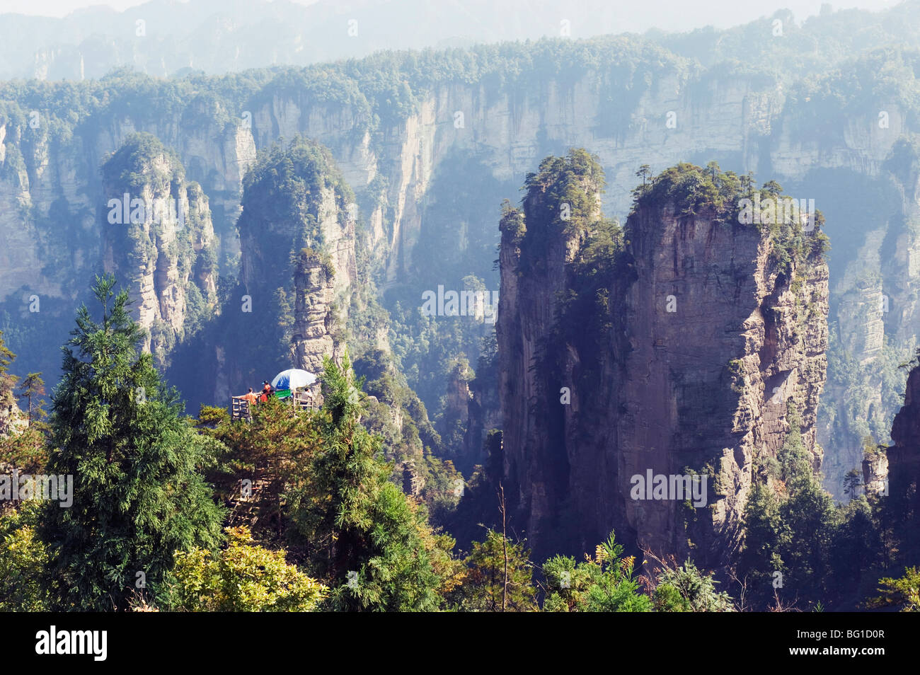 Karst limestone rock formations at Zhangjiajie Forest Park, Wulingyuan ...