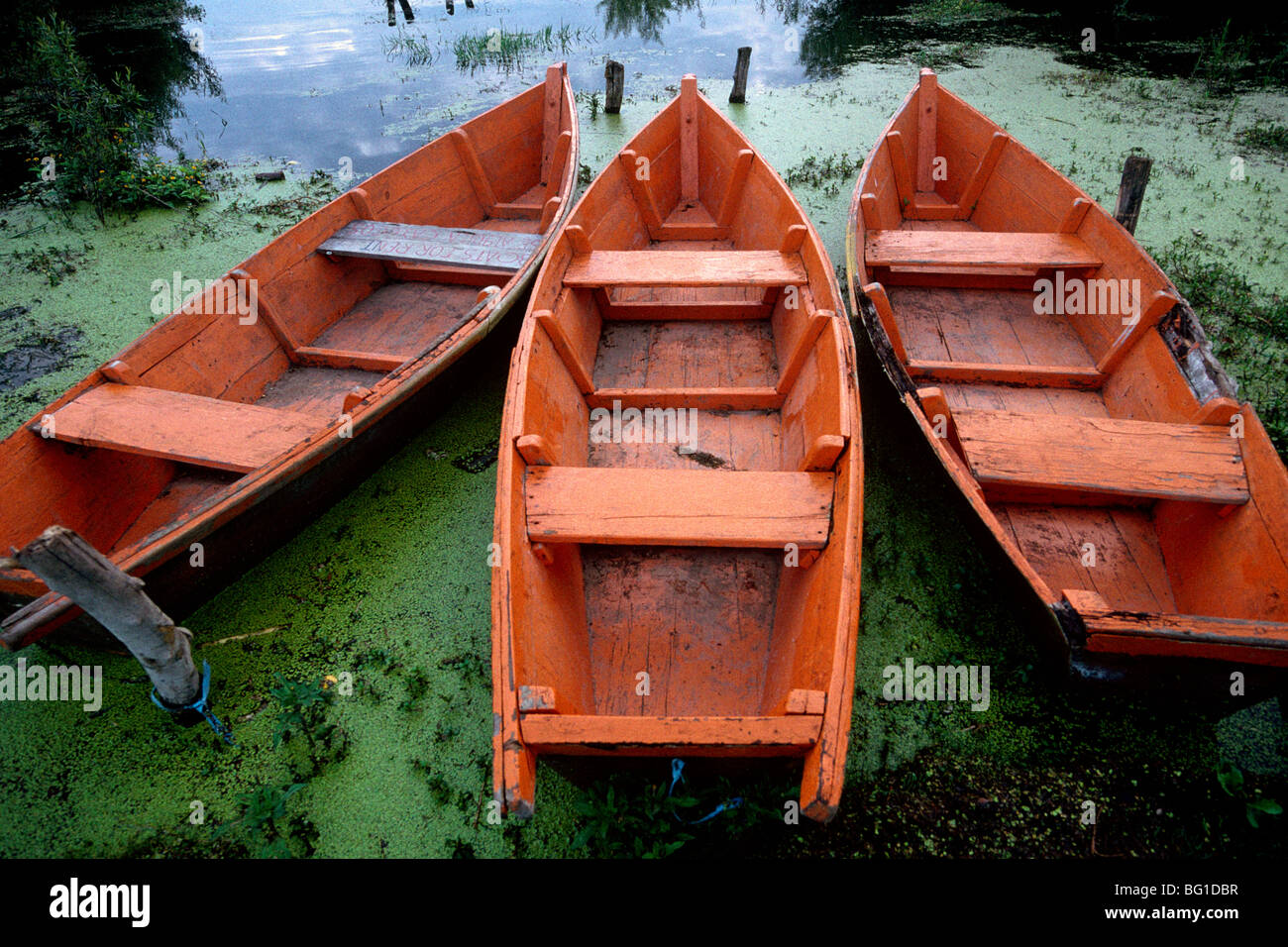 Orange row boats in Lake Atitlan, San Pedro, Guatemala Stock Photo - Alamy