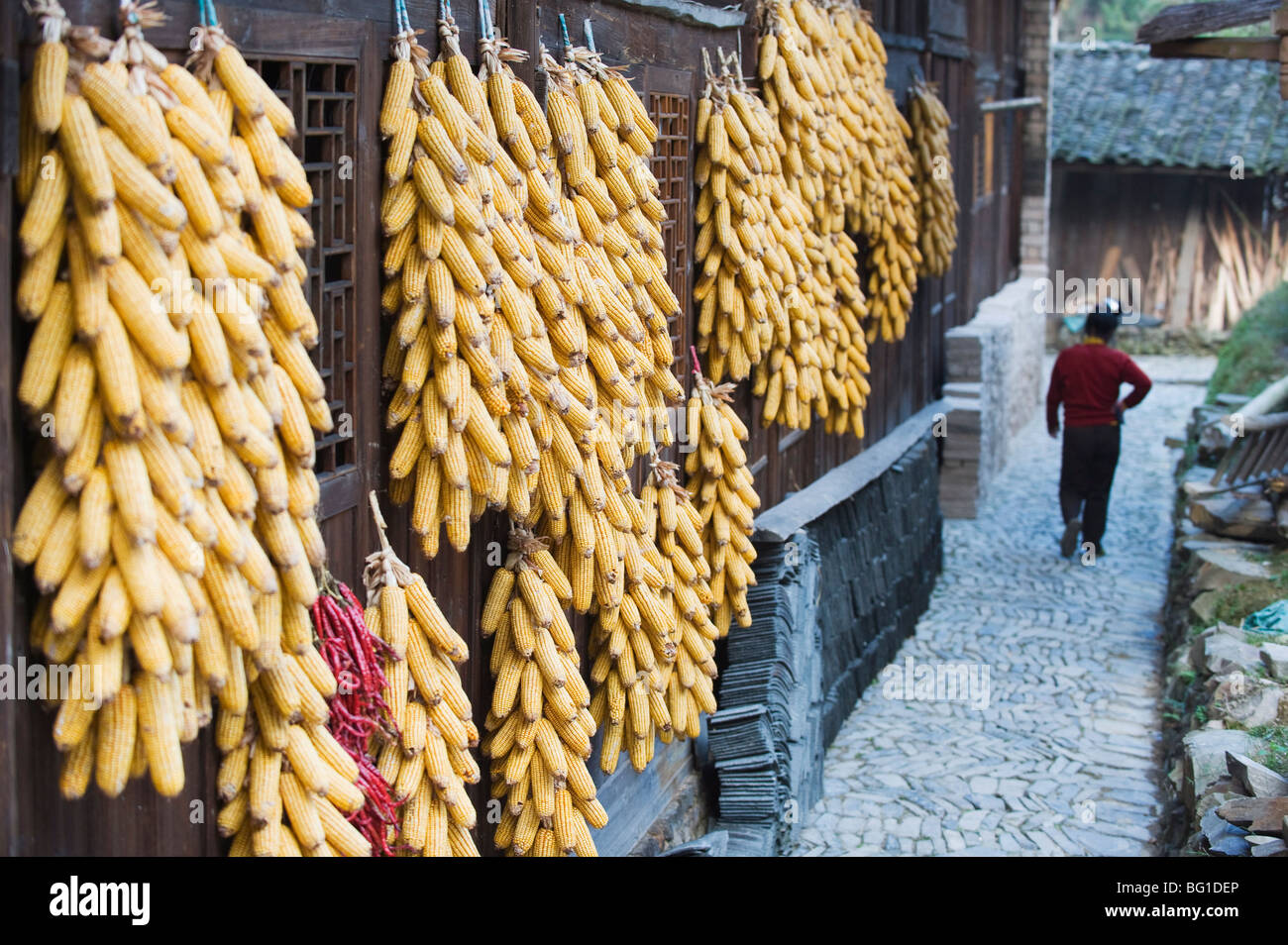 Cob house hi-res stock photography and images - Alamy