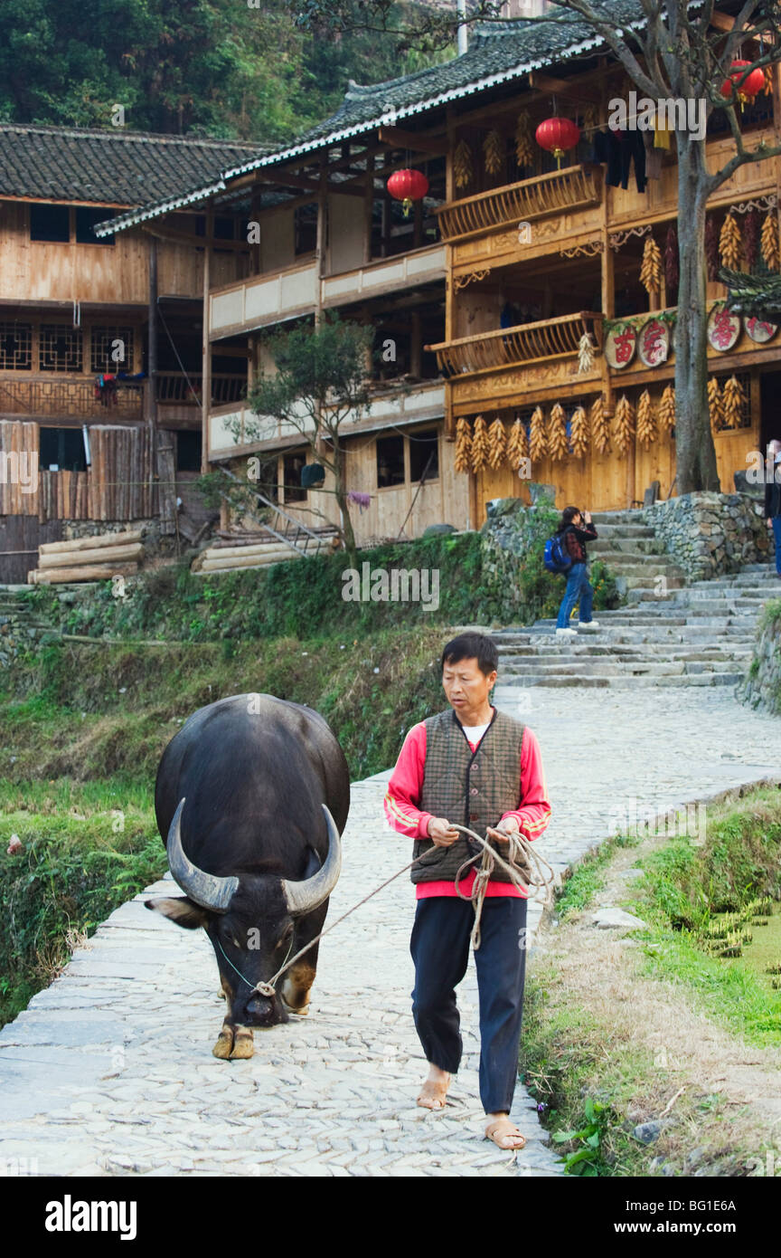 Buffalo China High Resolution Stock Photography and Images - Alamy