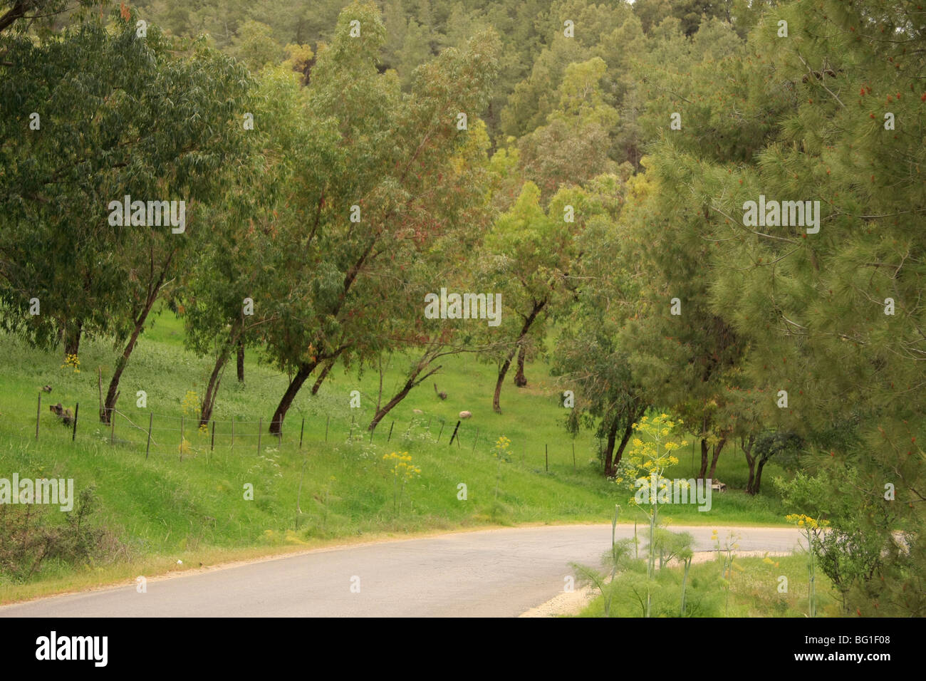 Israel, Mount Gilboa Scenic Road Stock Photo - Alamy