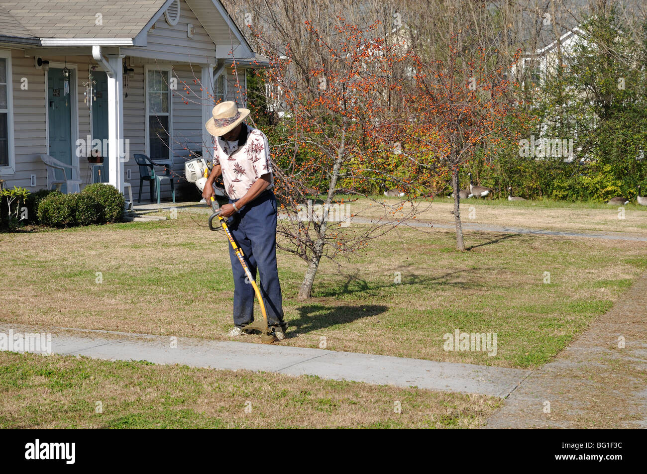 A senior-citizen black man uses a weed-eater to trim the grass next to ...