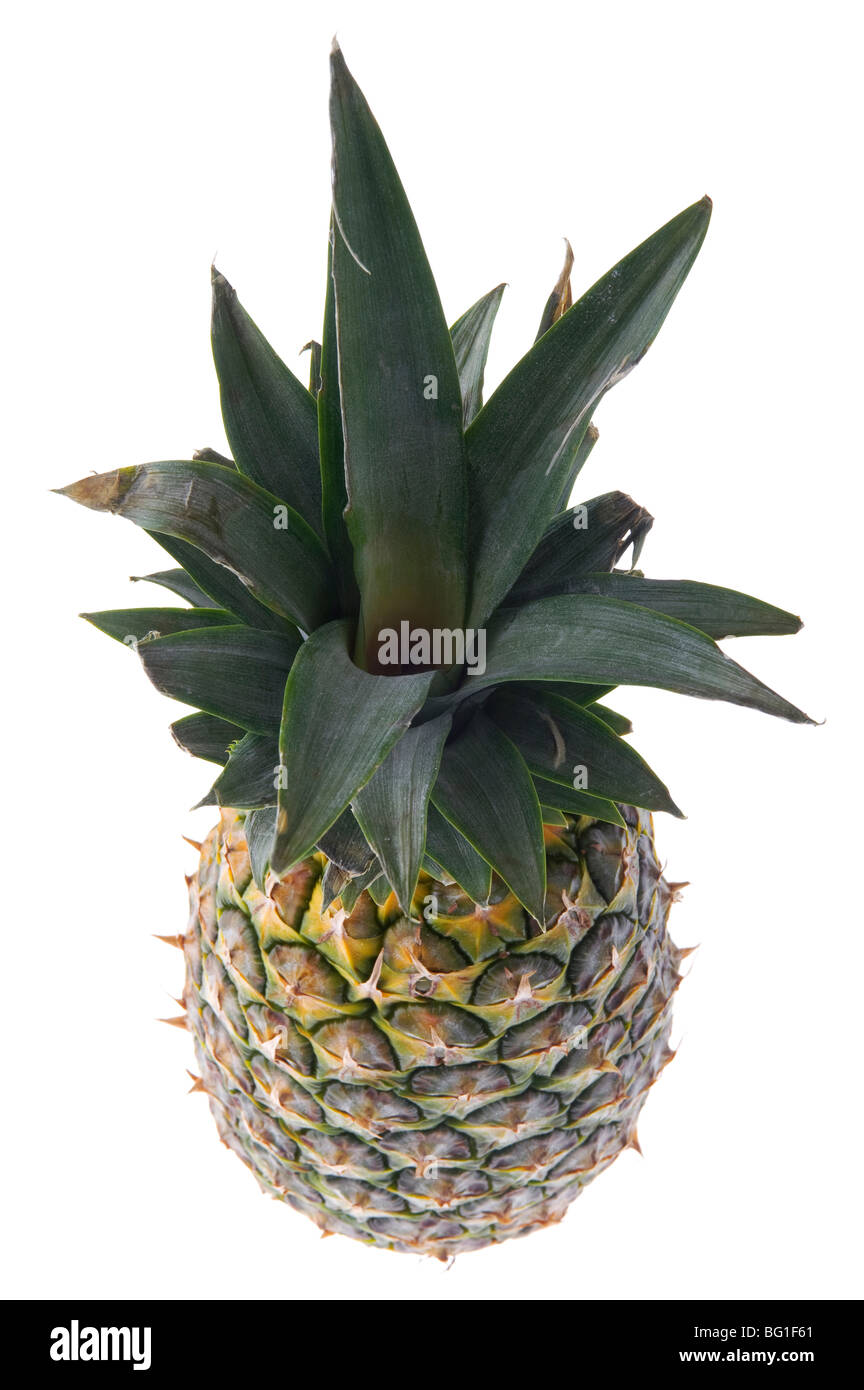 Pineapple on tropical garden Cut Out Stock Images & Pictures - Alamy