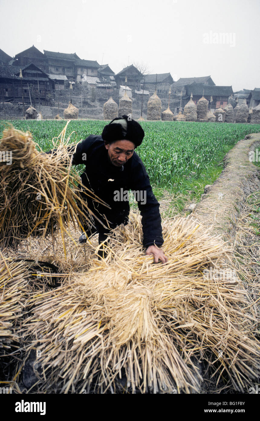 Gathering ethnic hi-res stock photography and images - Alamy