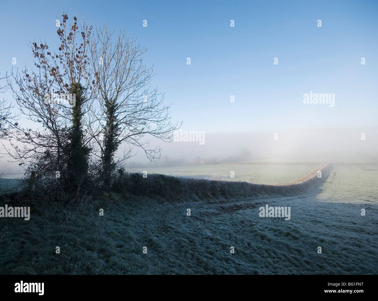 Country road through misty fields hi-res stock photography and images ...
