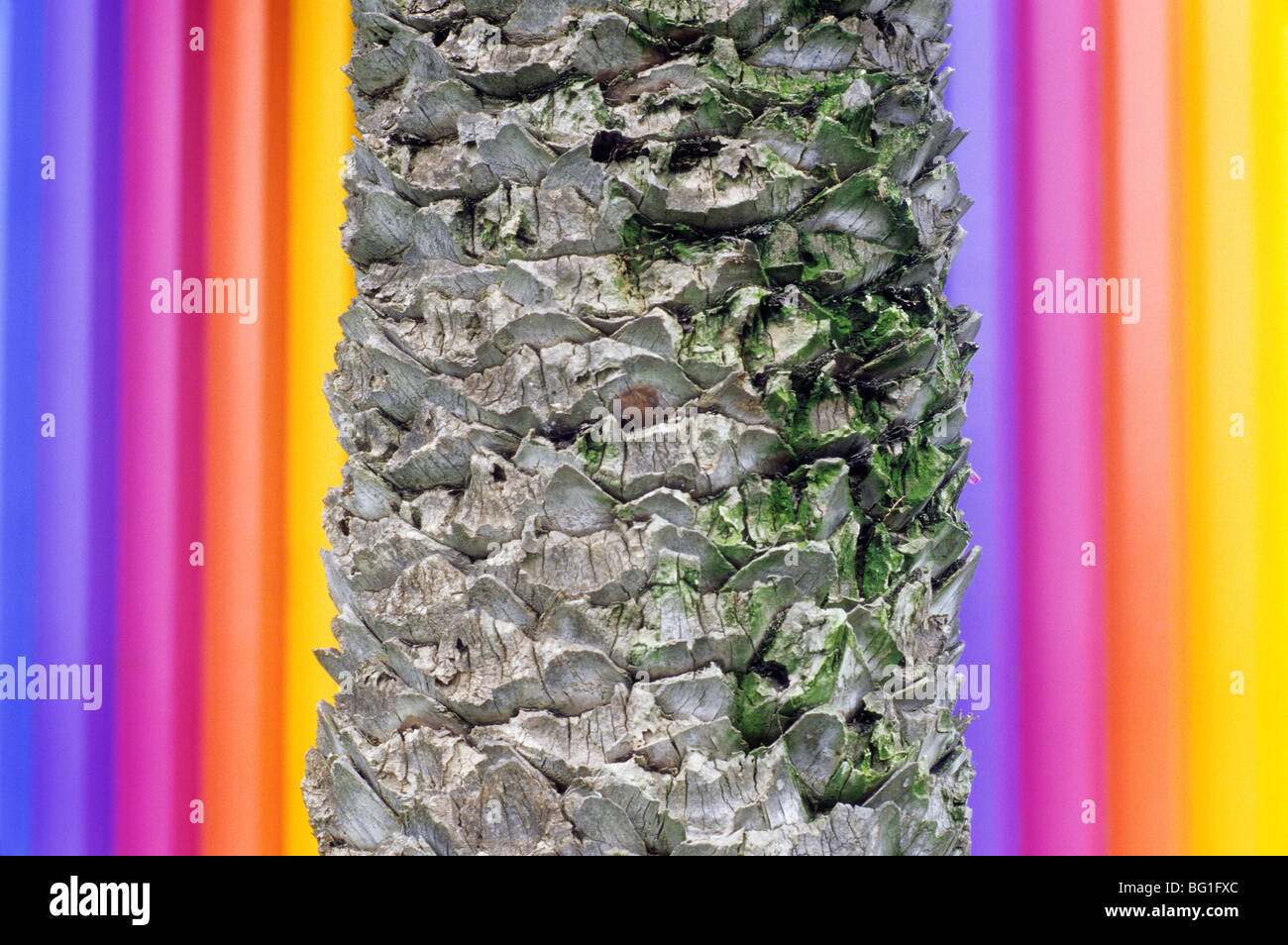 By herbert bayer hi-res stock photography and images - Alamy