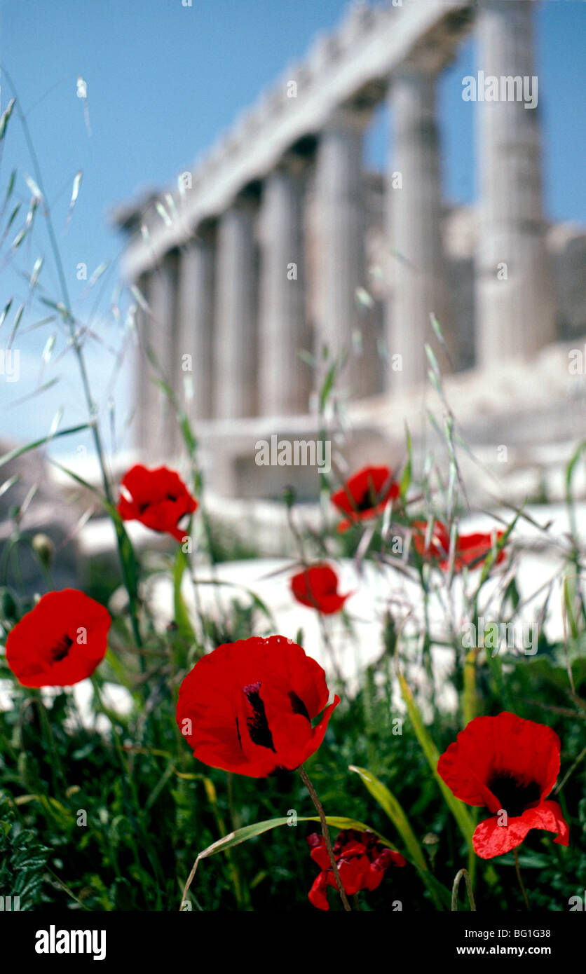 Spring often brings wildflowers to the grounds of the Parthenon, the ...
