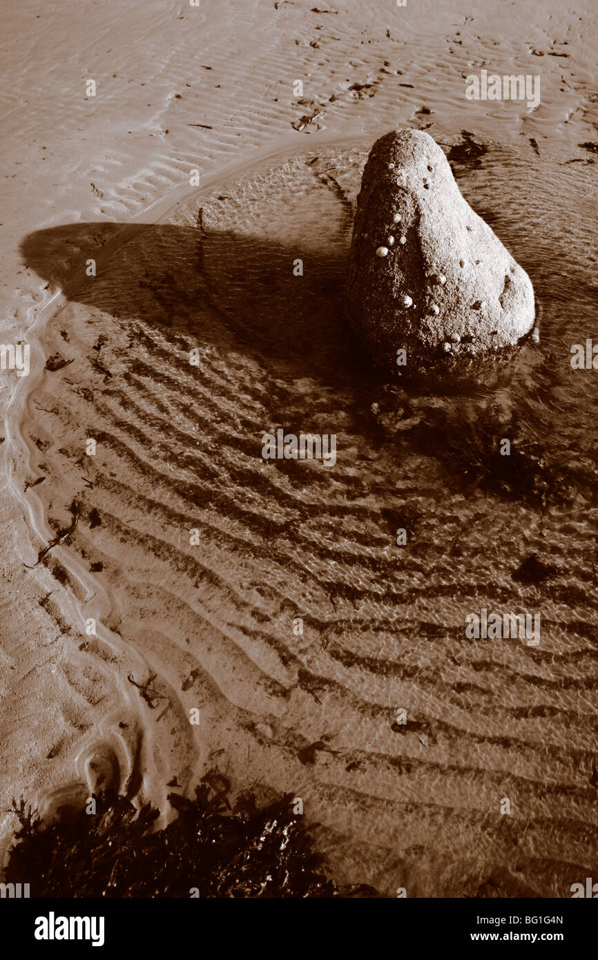 Strange nose shaped rock in shallows on beach Cornwall UK Stock Photo ...